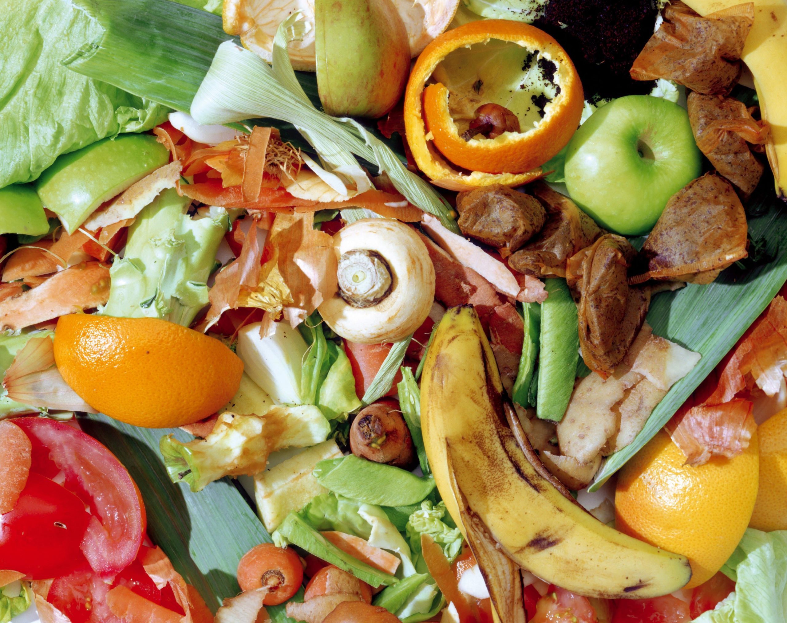 Food Waste | Food Recycling Services | Bywaters
