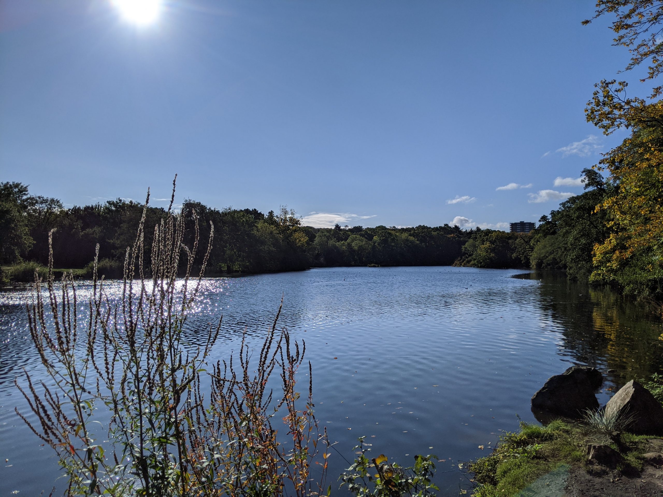 Redbridge Waste Management | Bywaters