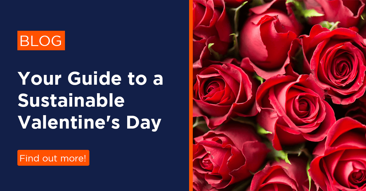 Your Guide to a Sustainable Valentine's Day - Bywaters