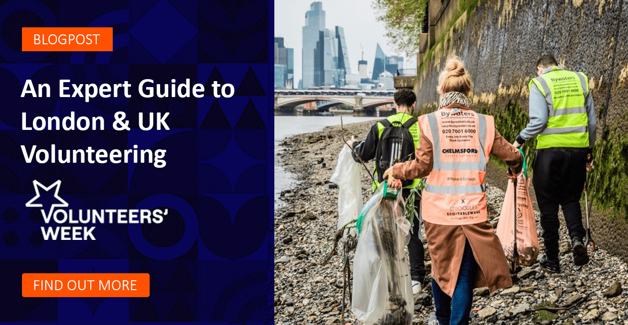 Volunteering Activities: A Guide to London & UK Volunteering