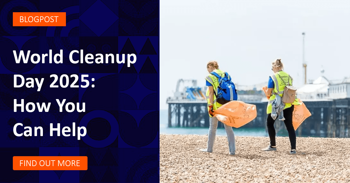World Cleanup Day activities: How you can help | Bywaters