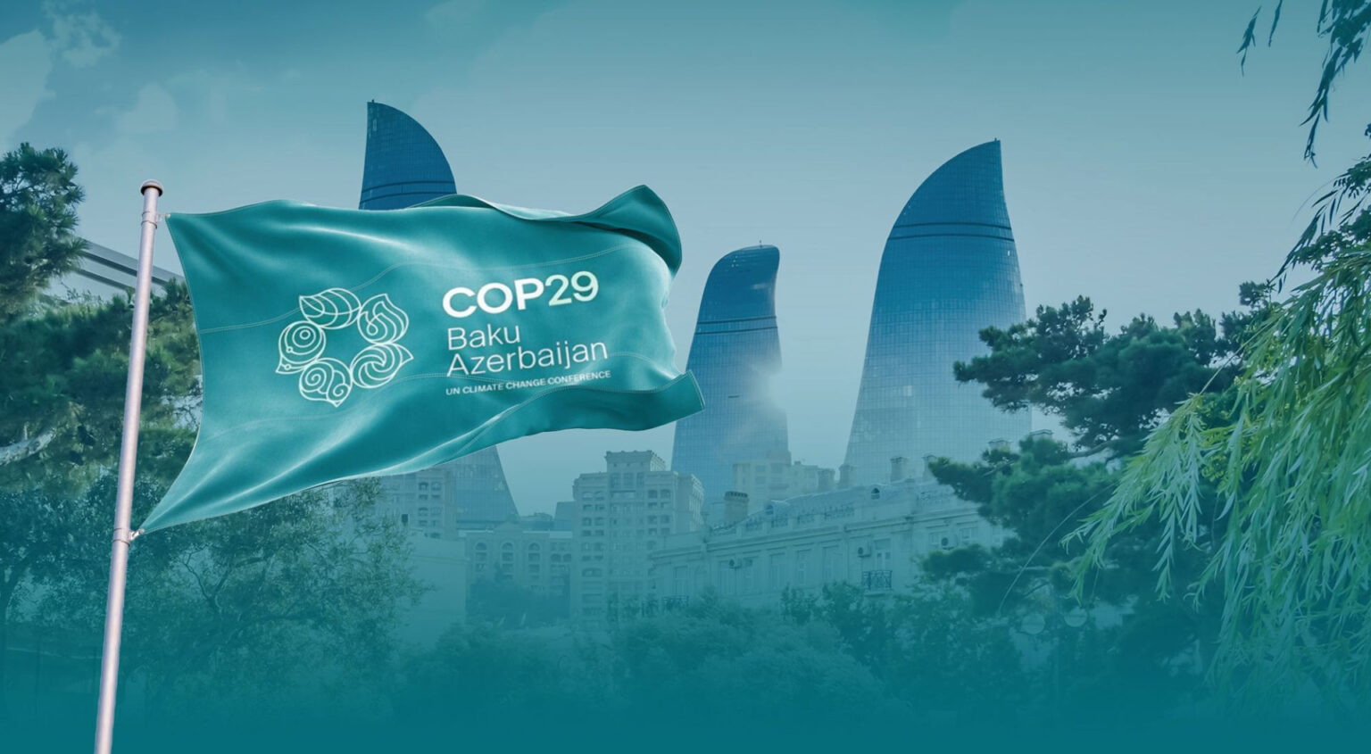 COP29: Everything You Need to Know | Bywaters